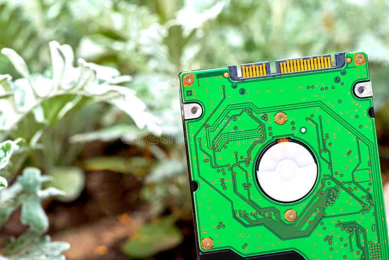 Internal Hard Drive for Storing Information in Green Plant Stock Photo ...