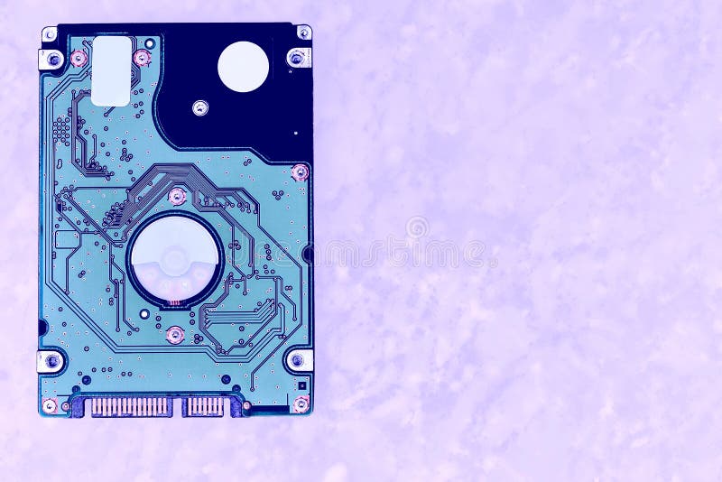 Internal Hard Drive for Storing Information on Wood Surface with Bark ...