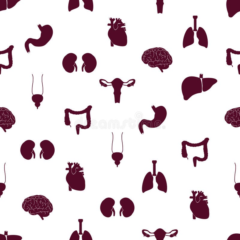 Internal Human Body Organs Pattern Stock Vector - Illustration of ...