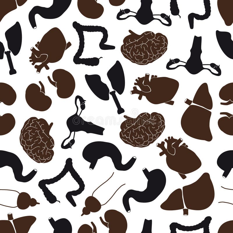 Internal Human Body Organs Pattern Stock Vector - Illustration of ...