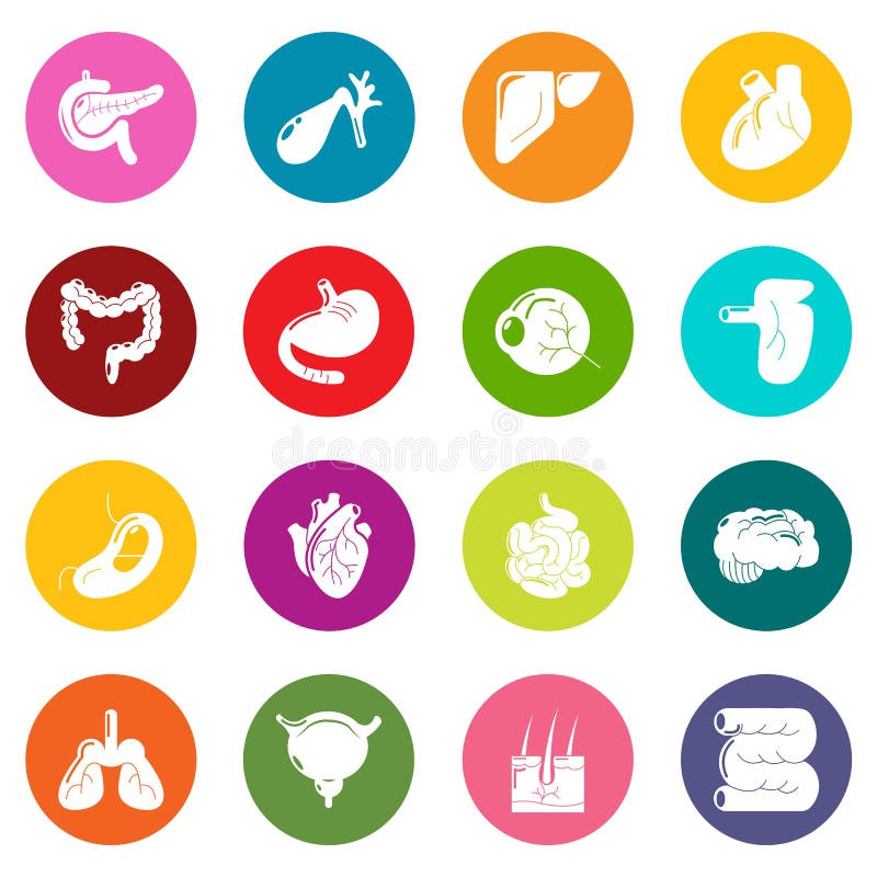 Internal Human Organs Icons Set Colorful Circles Vector Stock Vector ... Internal Human Organs Icons Set Colorful Circles Vector Stock Vector ...