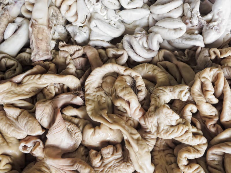 Internal Organs stock photo. Image of meat, farmers, fresh - 23719856