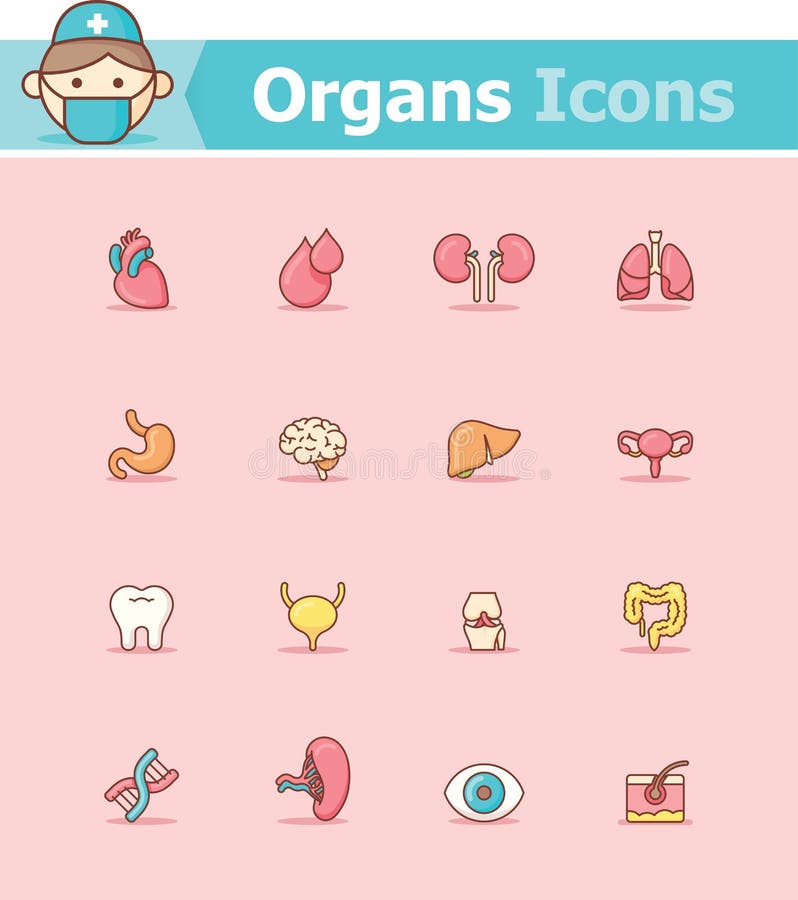 Internal organs icon set stock vector. Illustration of bone - 48583629