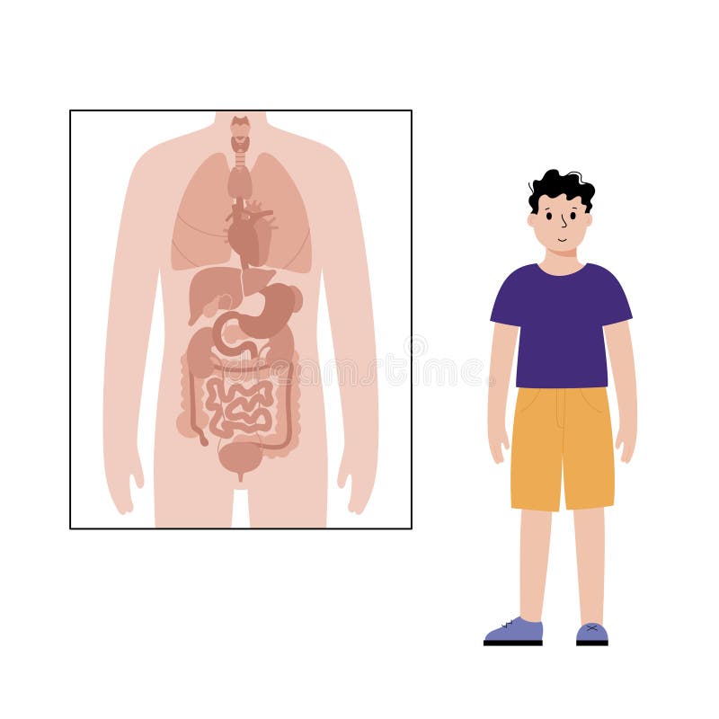 Young Boy Colon Stock Illustrations – 38 Young Boy Colon Stock ...