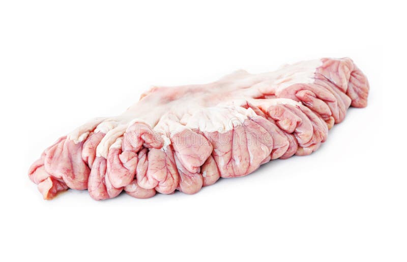 Internal organs of pig. stock photo. Image of bacon, entrails - 97774374