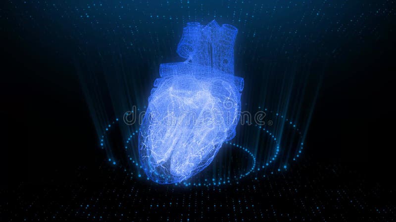 Internal Structure of Human Heart in Wire Frame Mode Stock Footage ...