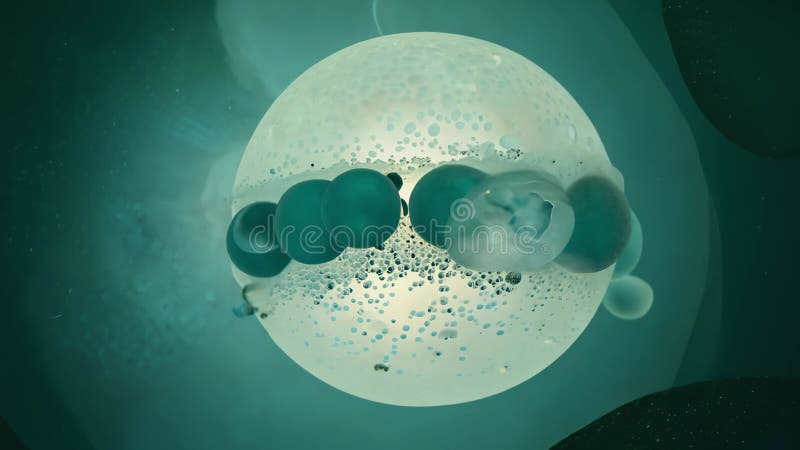 Internal View of a Bacterial Cell Breaking Down Under Antibiotic ...