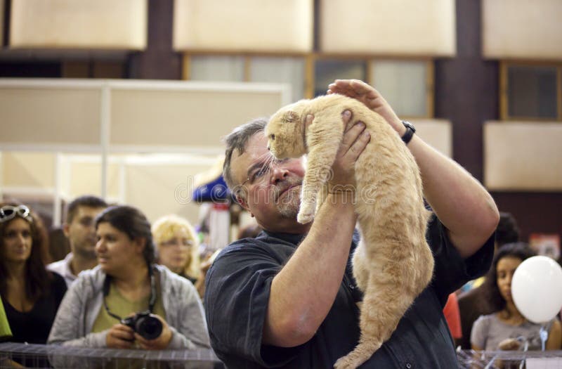 3,144 Cat Exhibition Stock Photos - Free & Royalty-Free Stock Photos ...