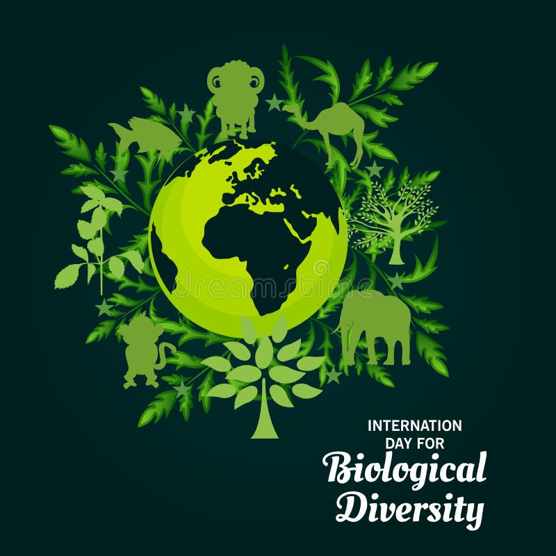 Biological Diversity Stock Illustrations – 256 Biological Diversity ...
