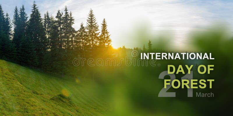 International Day of Forest Stock Image - Image of concept, planet ...