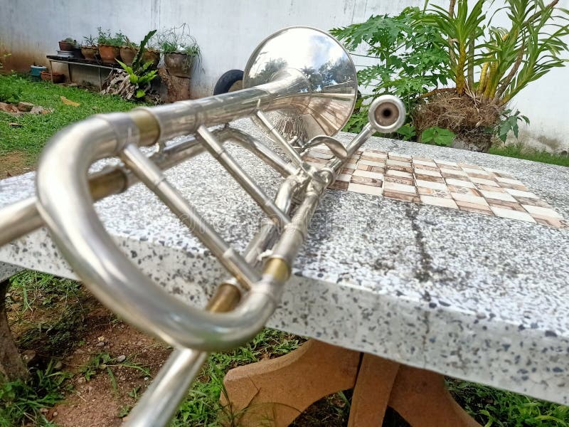 International Musical Instruments Trombone Type Name Stock Photo ...