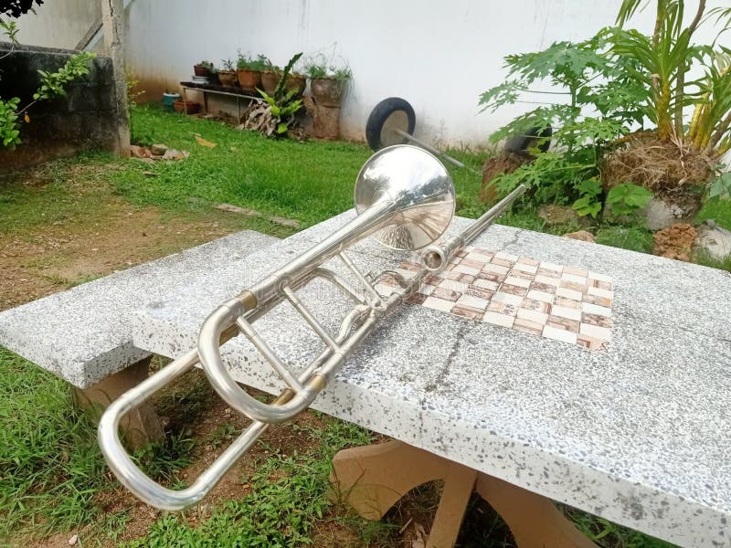 International Musical Instruments Trombone Type Name Stock Image ...