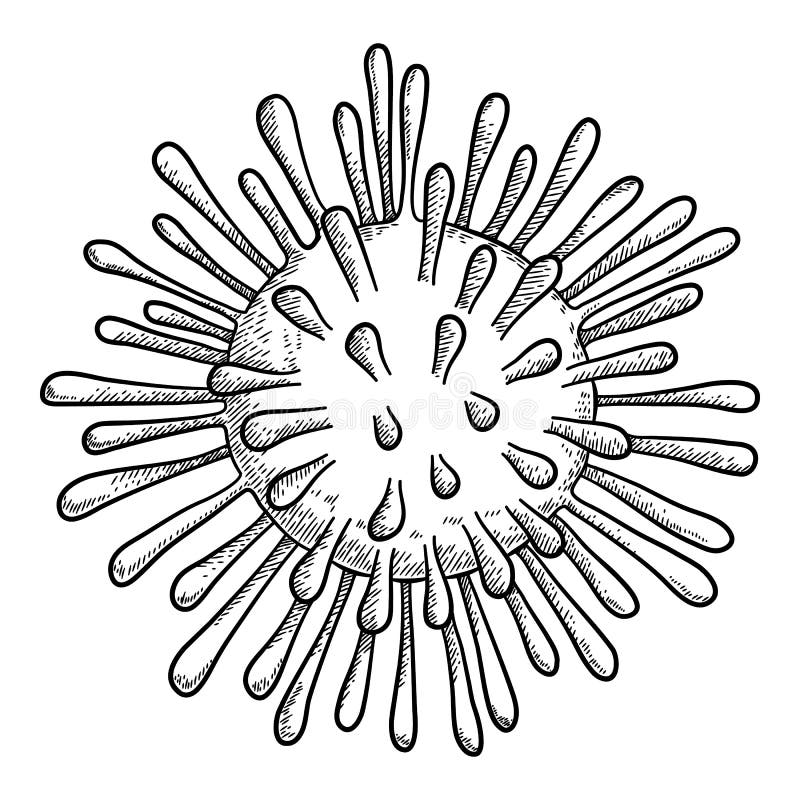 Microbe Corona Virus Icon, Outline Hand Drawn Style Stock Vector ... Microbe Corona Virus Icon, Outline Hand Drawn Style Stock Vector ...