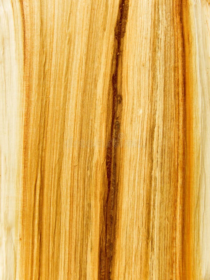 Interne boomstructuur stock afbeelding. Image of structuur - 7256303