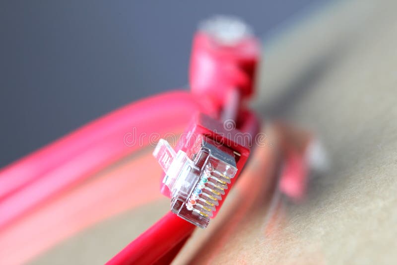 Internet cable stock photo. Image of internet, router - 21691388
