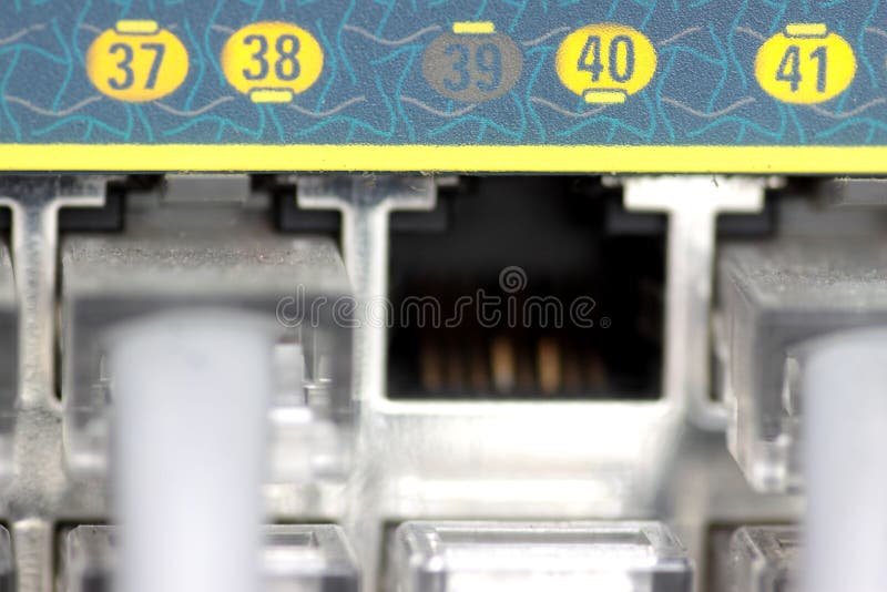 Internet cables stock photo. Image of macro, port, connection - 17472952