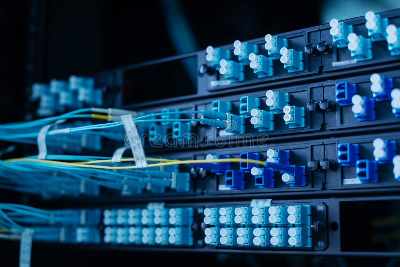 Ethernet Cables Being Connected To the Data Server Stock Image - Image ...