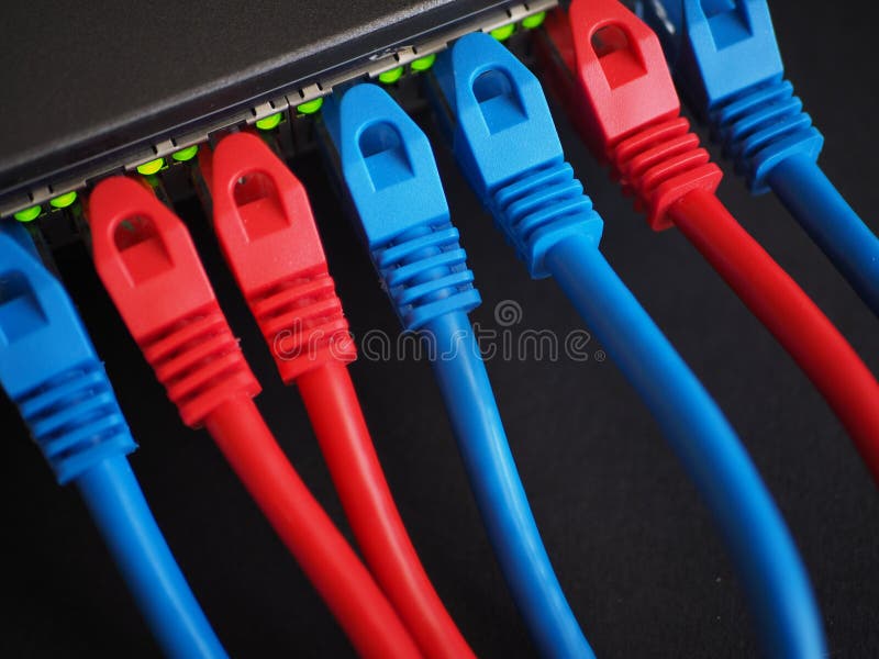 Color RJ 45 Plug in Black Switch Stock Photo - Image of cables ...