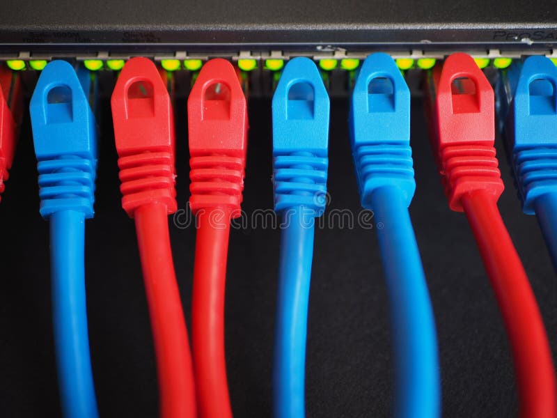 Color RJ 45 Plug in Black Switch Stock Photo - Image of cables ...