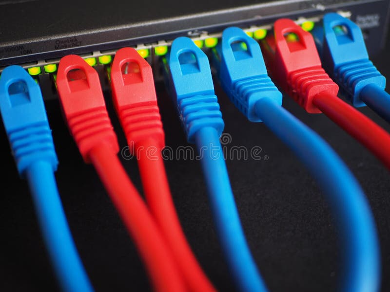 Color RJ 45 Plug in Black Switch Stock Photo - Image of cables ...