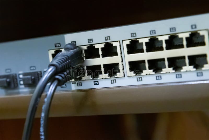 Internet Switch with Rj 45 Cable for Local Communication Closeup Stock ...