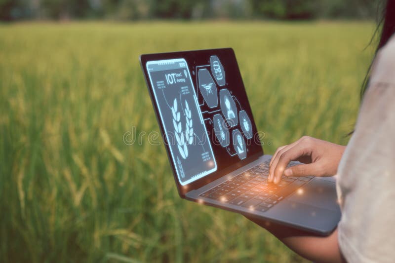 Internet of Thing Smart Farming Concept, Agriculture Industry ...