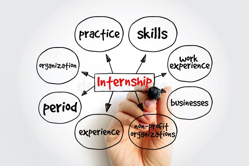 Internship Diagram Concept stock image. Image of advice - 168651943
