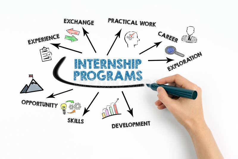 Internship Programs Concept. Chart with Keywords and Icons on White ...