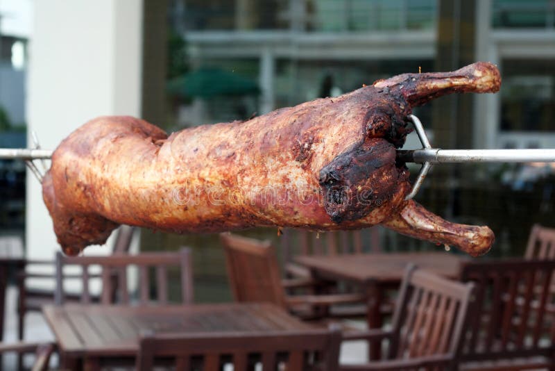 Intero agnello di arrosto fotografia stock. Immagine di preparato - 2792386