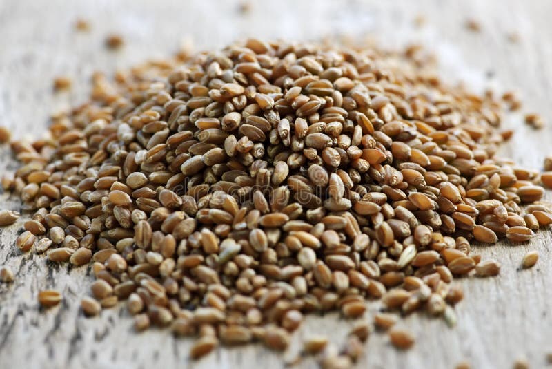 Intero Primo Piano Dei Grani Di Frumento Del Granulo Fotografia Stock ...