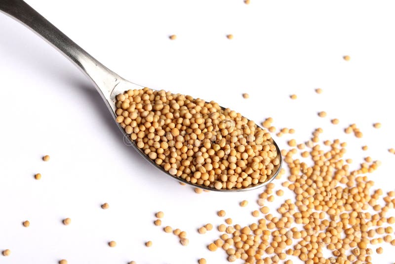 Intero seme di senape immagine stock. Immagine di percorso - 37575271