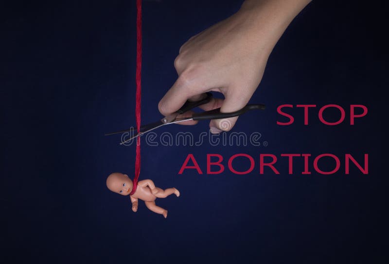 L'embryon Dans Un Woman& X27 ; Mains De S Embryon De Concept ...