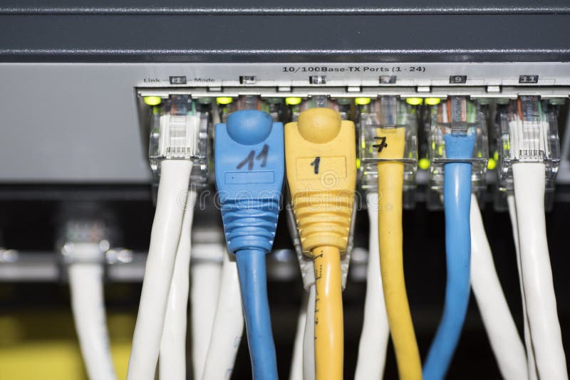 Interruptor De La Red De Ethernet Con Los Cables De Ethernet Imagen de ...