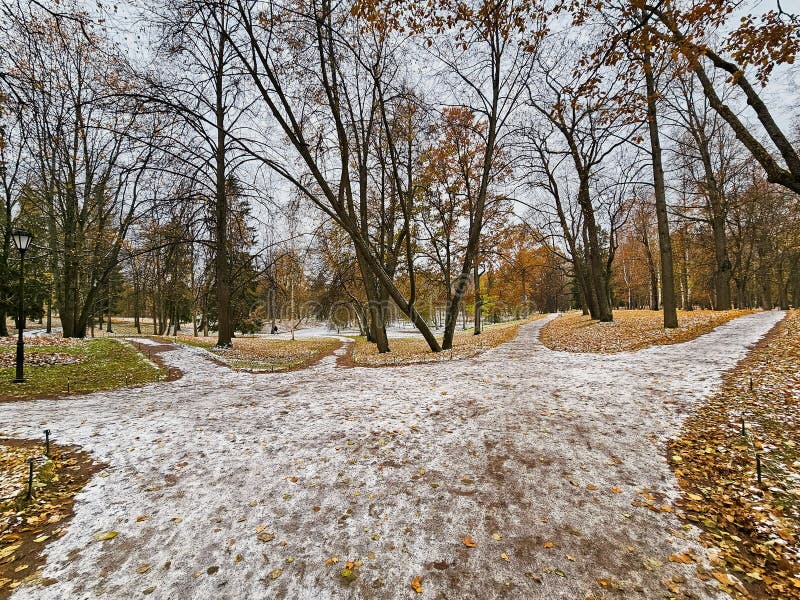 At the Intersection of Five Roads, Five Narrow Paths in the Winter Park ...