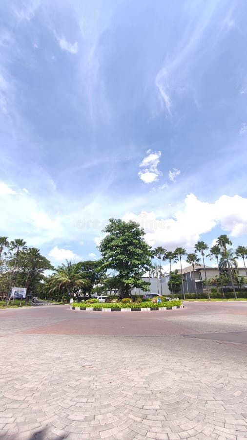 An Intersection with a Green Tree in the Middle Stock Photo - Image of ...