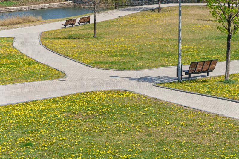 The Intersection of Paths in the Park among Lawns Filled with Yellow ...