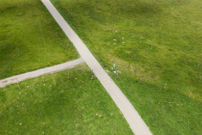 The Intersection of the Paths Stock Image - Image of plant, journey ...