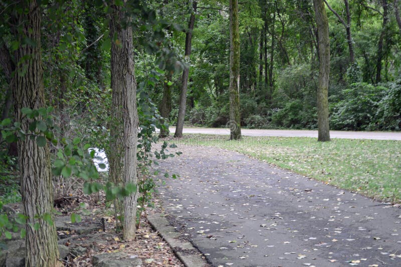 Intersection of Pathway and Park Road Stock Photo - Image of america ...