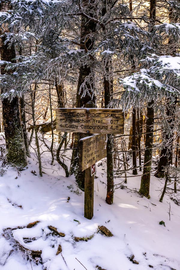 Intersection of Snake Den Ridge and Maddron Bald Trail Stock Photo ...