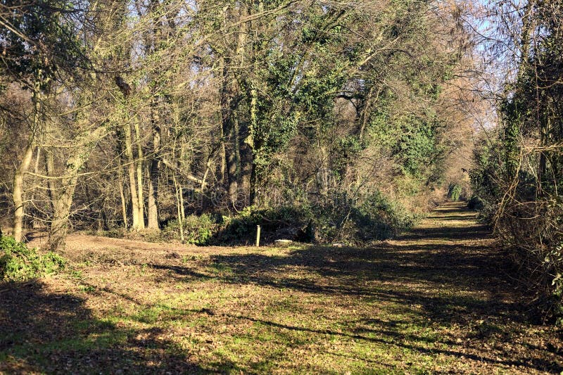 Intersection between Trails in a Park on a Winter Day in the Italian ...