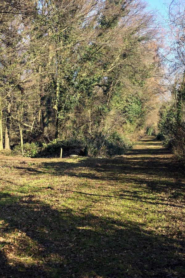 Intersection between Trails in a Park on a Winter Day in the Italian ...