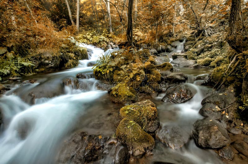 Intersection of Two Mountain Rivers Stock Image - Image of leaf, cold ...