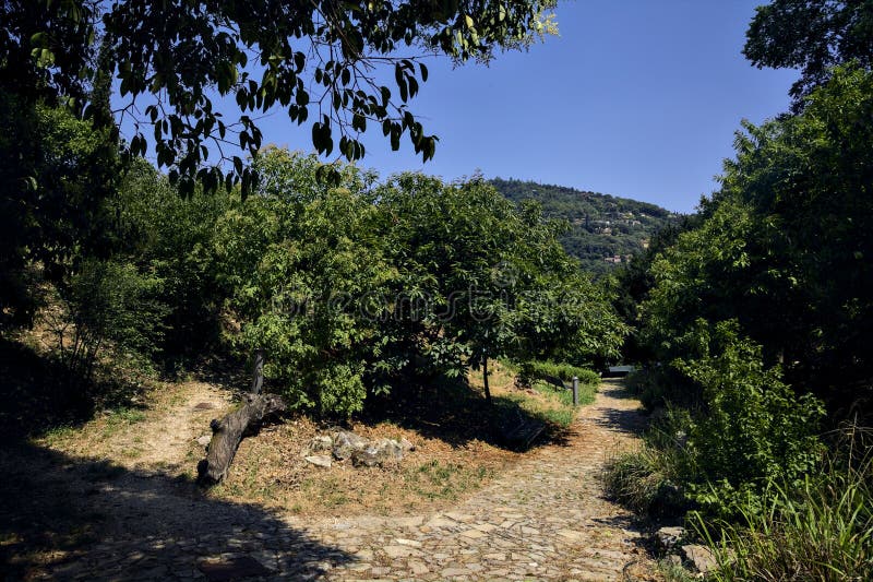 Intersection between Two Path in a Park on a Hill Stock Image - Image ...