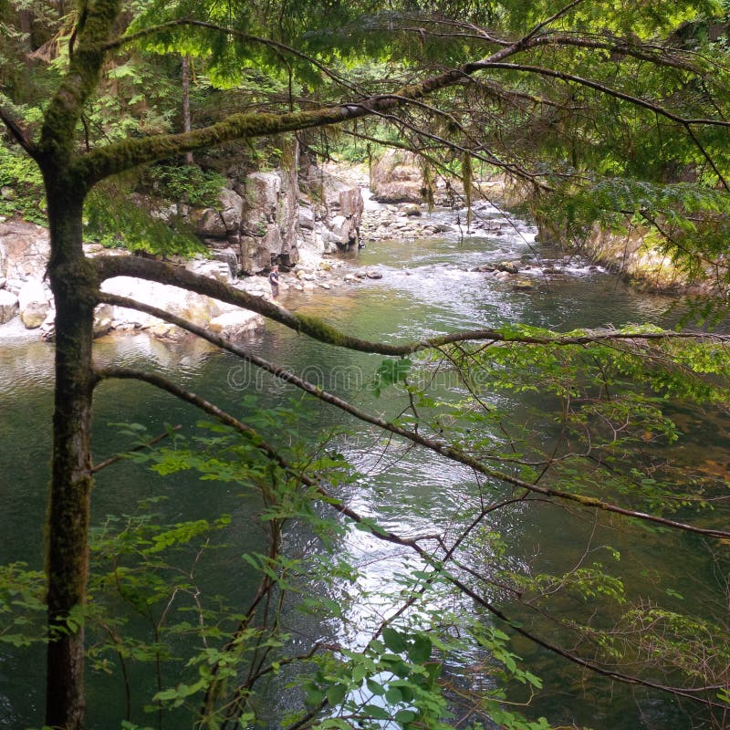 Two Streams stock photo. Image of peaceful, countryside - 31412418