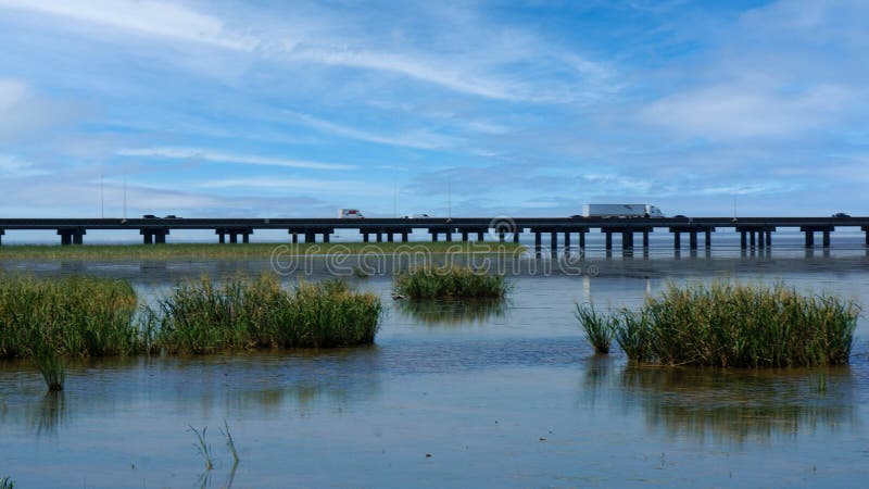 Interstate in Mobile and Alabama Swamp Landscape in Summer Stock Image ...