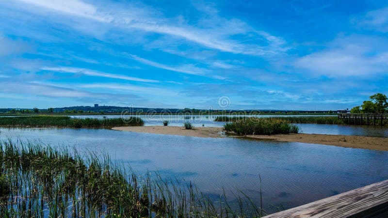 Interstate in Mobile and Alabama Swamp Landscape in Summer Stock Photo ...