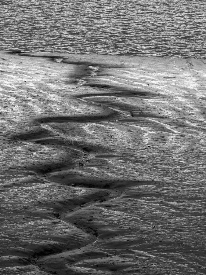 Intertidal River Mudflats Show Meandering Patterns To the Water ...