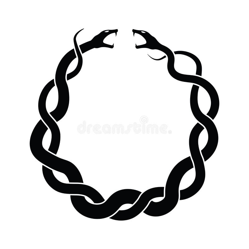 Intertwined Snakes Facing Each Other Stock Illustration - Illustration ...