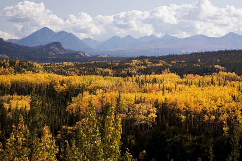 Autunno Nella Sosta Nazionale Di Denali Al Tramonto Immagine Stock ...