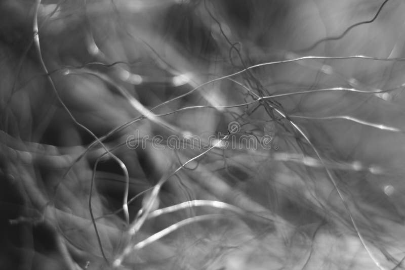 Interweaving Human Relations in the Abstract Stock Image - Image of ...